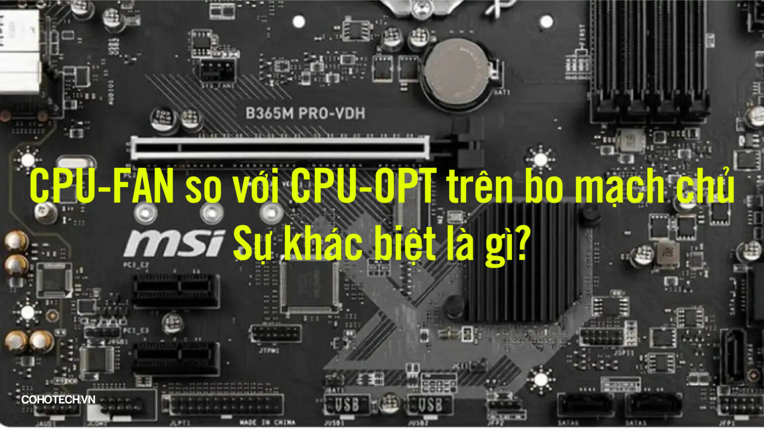 CPU-FAN so với CPU-OPT trên bo mạch chủ: Sự khác biệt là gì? ⋆ COHOTECH.VN