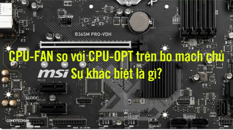 CPU-FAN so với CPU-OPT trên bo mạch chủ: Sự khác biệt là gì? ⋆ COHOTECH.VN